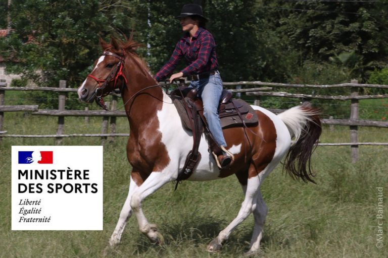 Perspective officielle pour l’après 11 mai 2020 : l’équitation reprend ...
