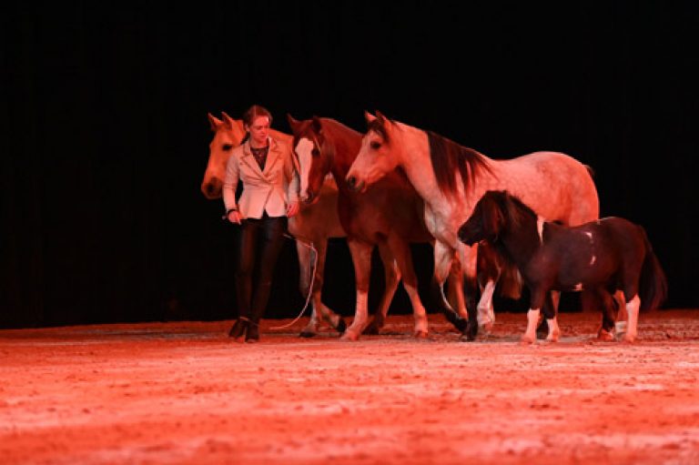 Le Salon du Cheval d’Angers 2022 savoure son succès… western | Newestern